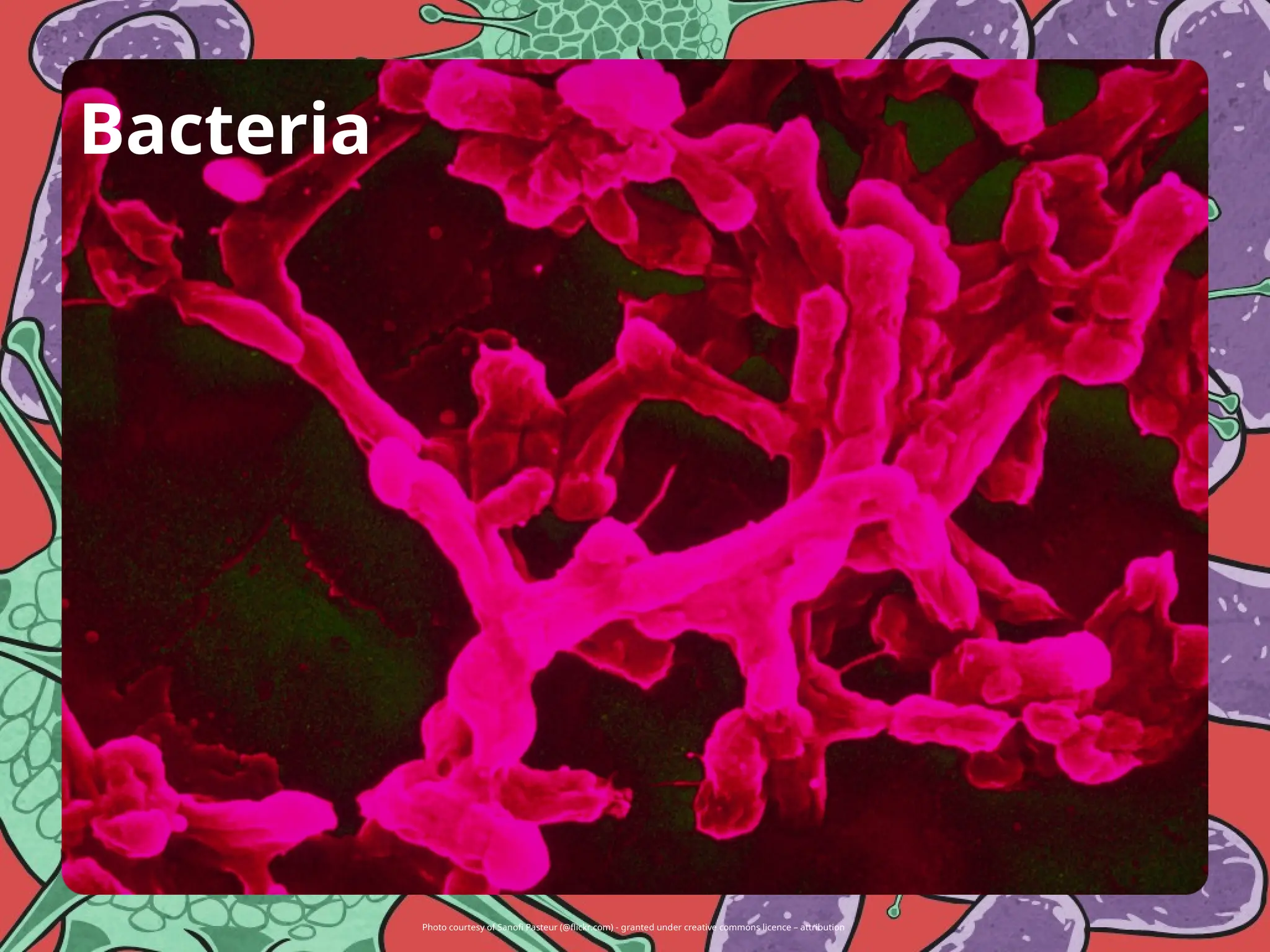 Types-of-Germ-Powerpoint_ver_3 .ppt