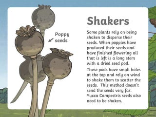 t2-s-205-types-of-seed-dispersal-powerpoint_ver_5.pptx