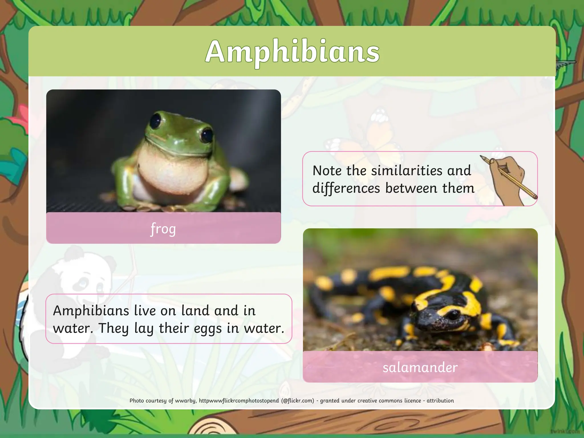 t2-s-206-grouping-animals-powerpoint_ver_1 (1).pptx