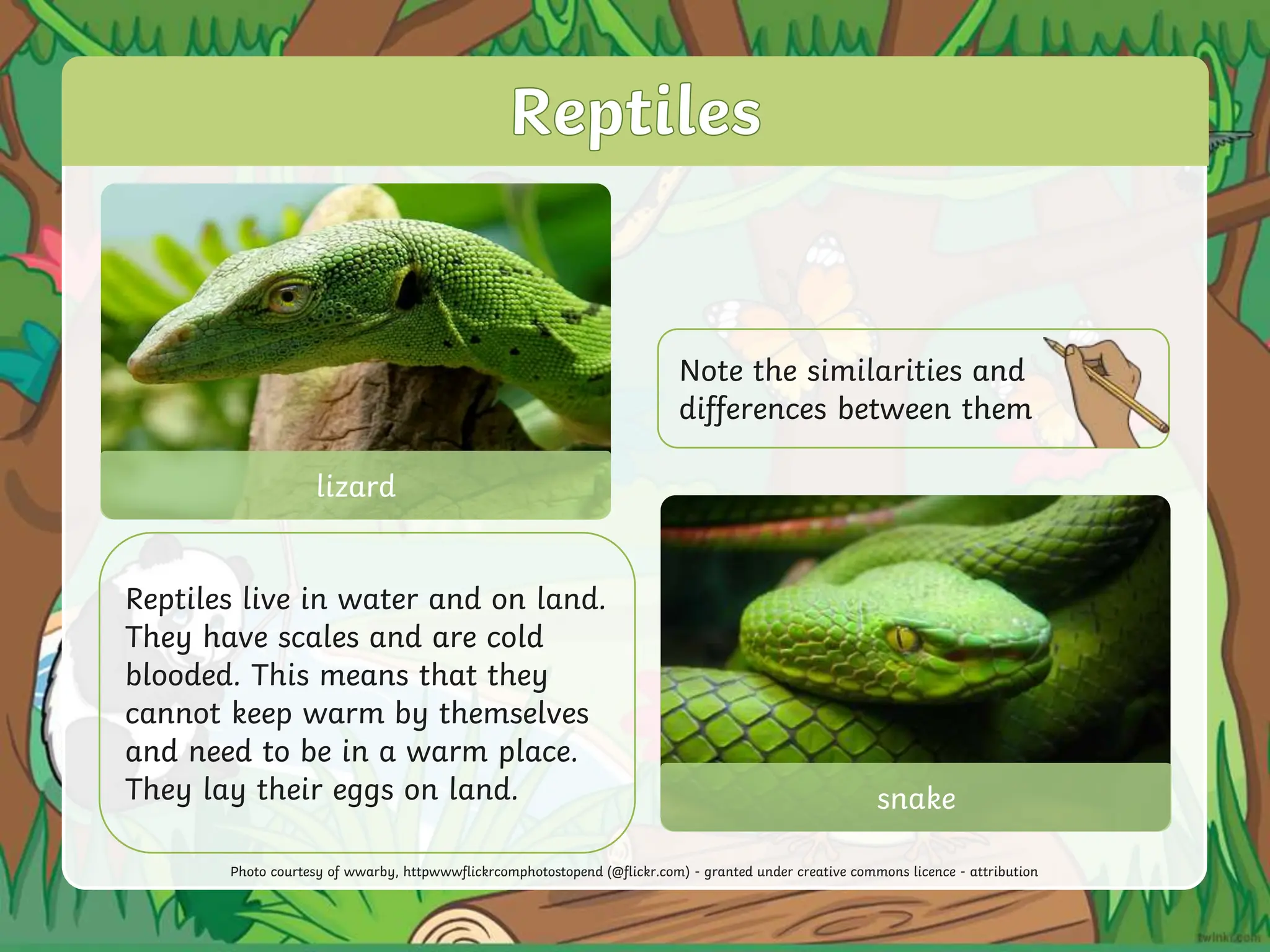 t2-s-206-grouping-animals-powerpoint_ver_1 (1).pptx