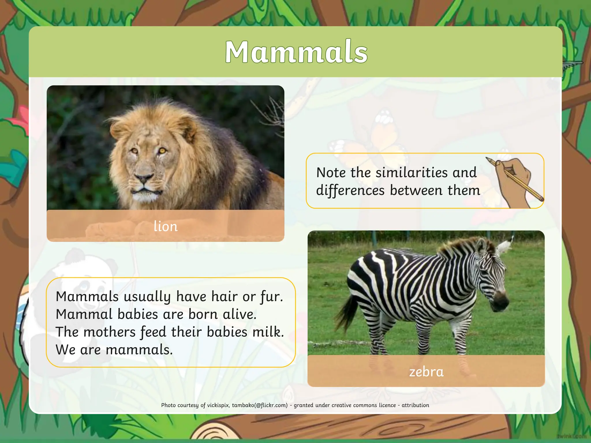t2-s-206-grouping-animals-powerpoint_ver_1 (1).pptx