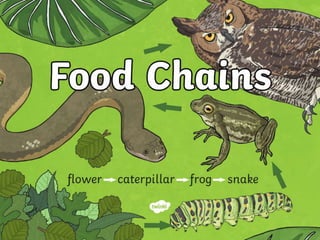 Food-Chain-Powerpoint_ver_2 [Autosaved].ppt