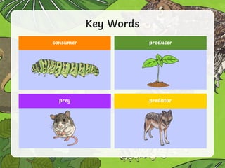 Food-Chain-Powerpoint_ver_2 [Autosaved].ppt