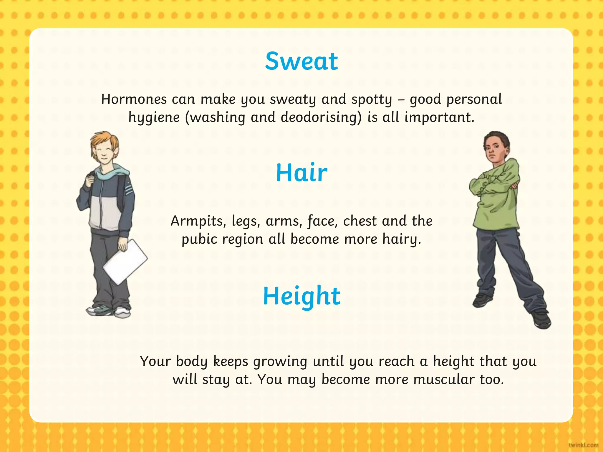 t2-s-242-puberty-how-our-bodies-change-diagrams-powerpoint_ver_8.ppt