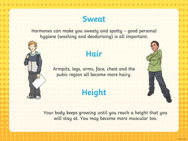 t2-s-242-puberty-how-our-bodies-change-diagrams-powerpoint_ver_8.ppt ...