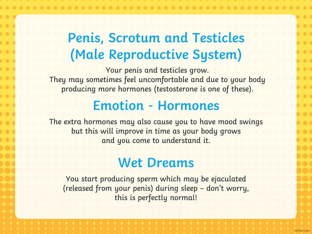 t2-s-242-puberty-how-our-bodies-change-diagrams-powerpoint_ver_8.ppt ...