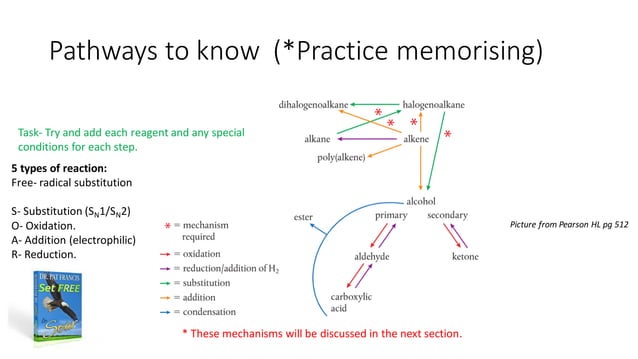 T20 IB Chemistry Organic | PDF | Chemistry | Science