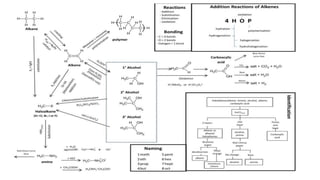 T20 IB Chemistry Organic | PDF