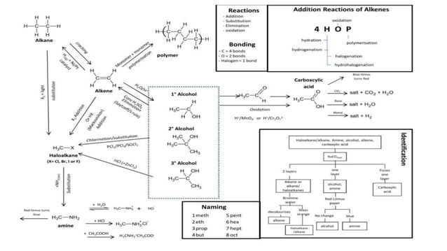 T20 IB Chemistry Organic | PDF | Chemistry | Science