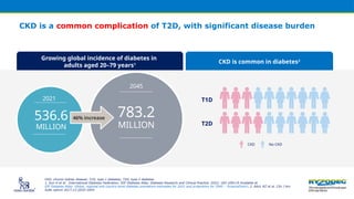 T2DM & CKD with Ryzodeg Hamba 2024-1.pptx