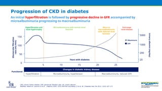 T2DM & CKD with Ryzodeg Hamba 2024-1.pptx