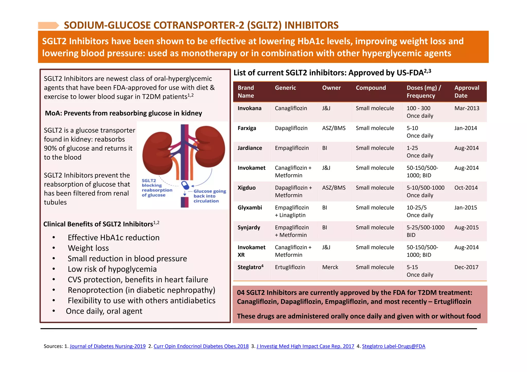 T2DM Therapeutic Area Landscape: SGLT2 and GLP1 (USA Market) | PDF