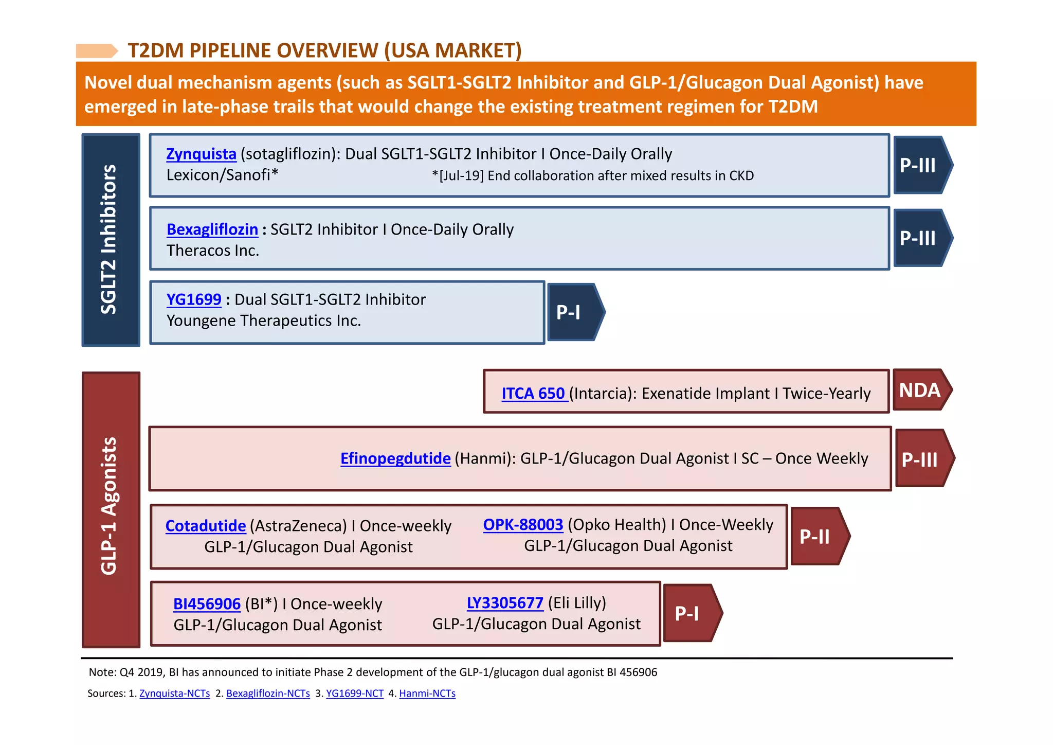 T2DM Therapeutic Area Landscape: SGLT2 and GLP1 (USA Market) | PDF