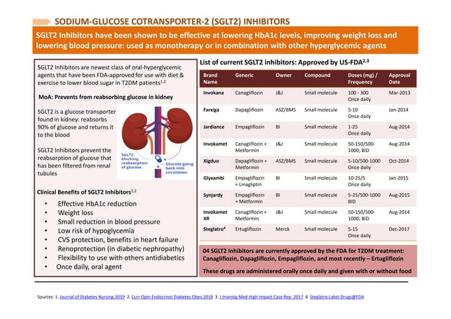 T2DM Therapeutic Area Landscape: SGLT2 and GLP1 (USA Market) | PDF