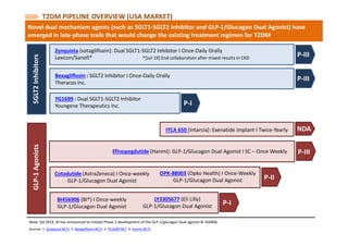 T2DM Therapeutic Area Landscape: SGLT2 and GLP1 (USA Market) | PDF