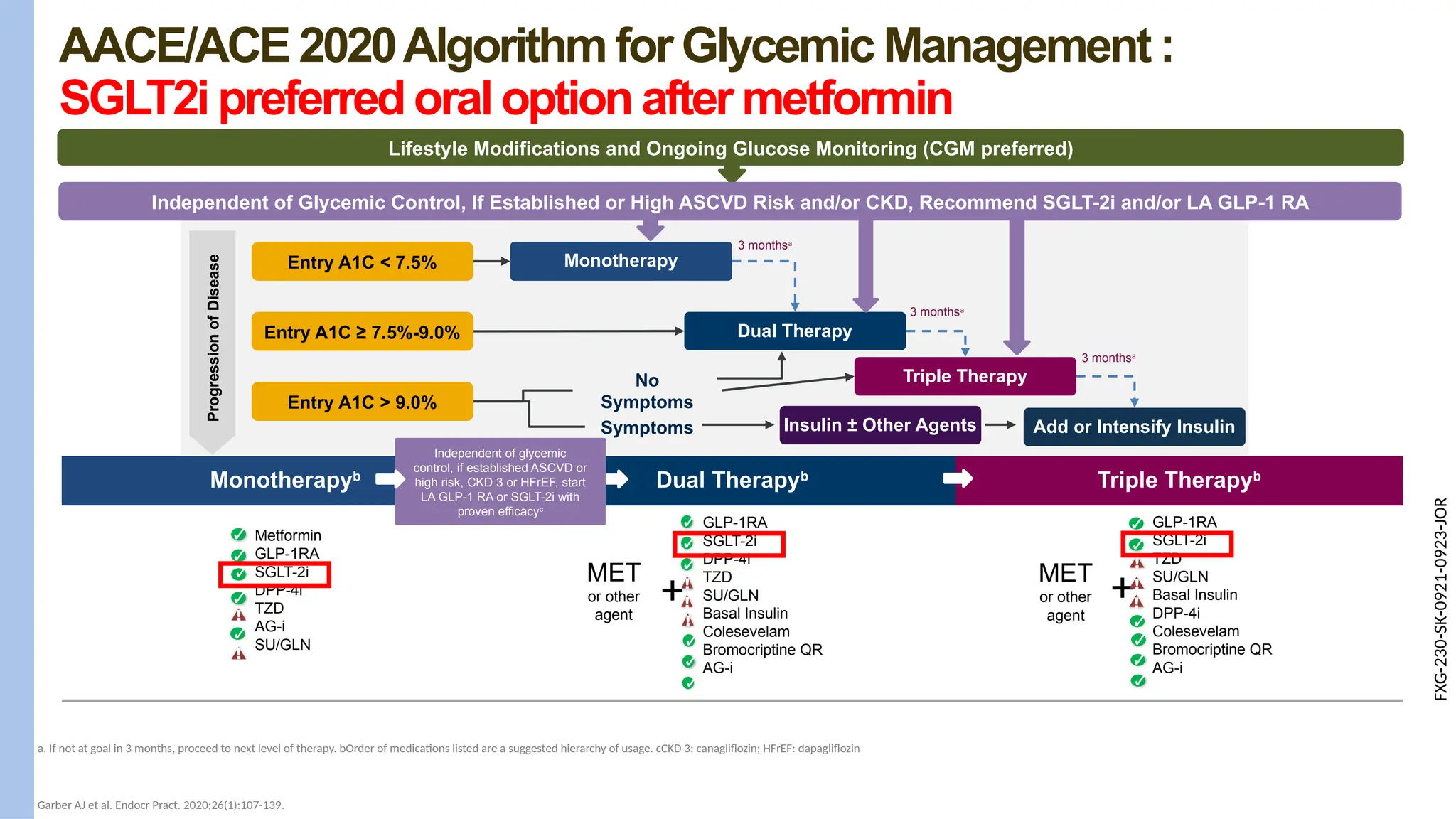 T2DM Management is More than HbA1c Control.pptx