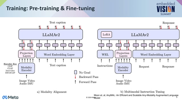 “Bridging Vision and Language: Designing, Training and Deploying ...