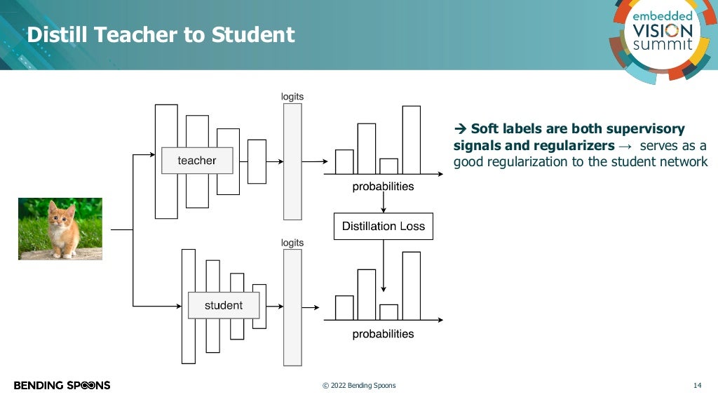 “Knowledge Distillation of Convolutional Neural Networks,” a ...