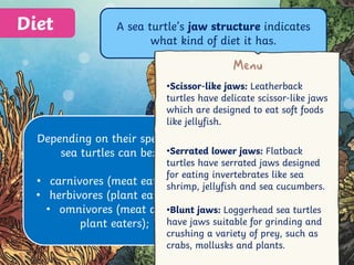 Intro Sea Turtles.pptx