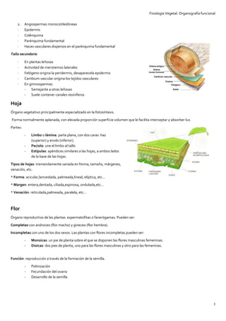 T3. organografía funcional de las plantas | PDF