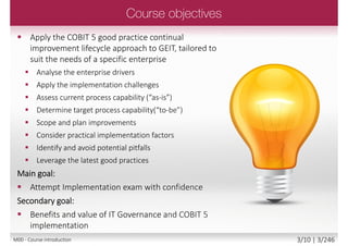 COBIT®5 - Implementation | PDF