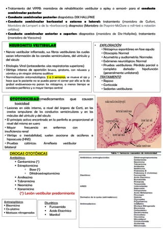 oido interno y sd. vertiginoso | PDF