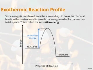 and-exothermic-reactions-information-powerpoint_ver_1.pptx