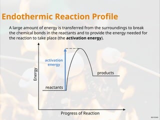 and-exothermic-reactions-information-powerpoint_ver_1.pptx