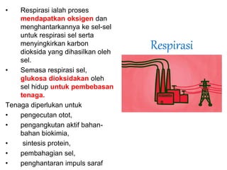 T4 B7 -RESPIRASI SEL.ppt