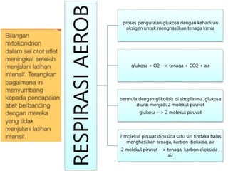 T4 B7 -RESPIRASI SEL.ppt