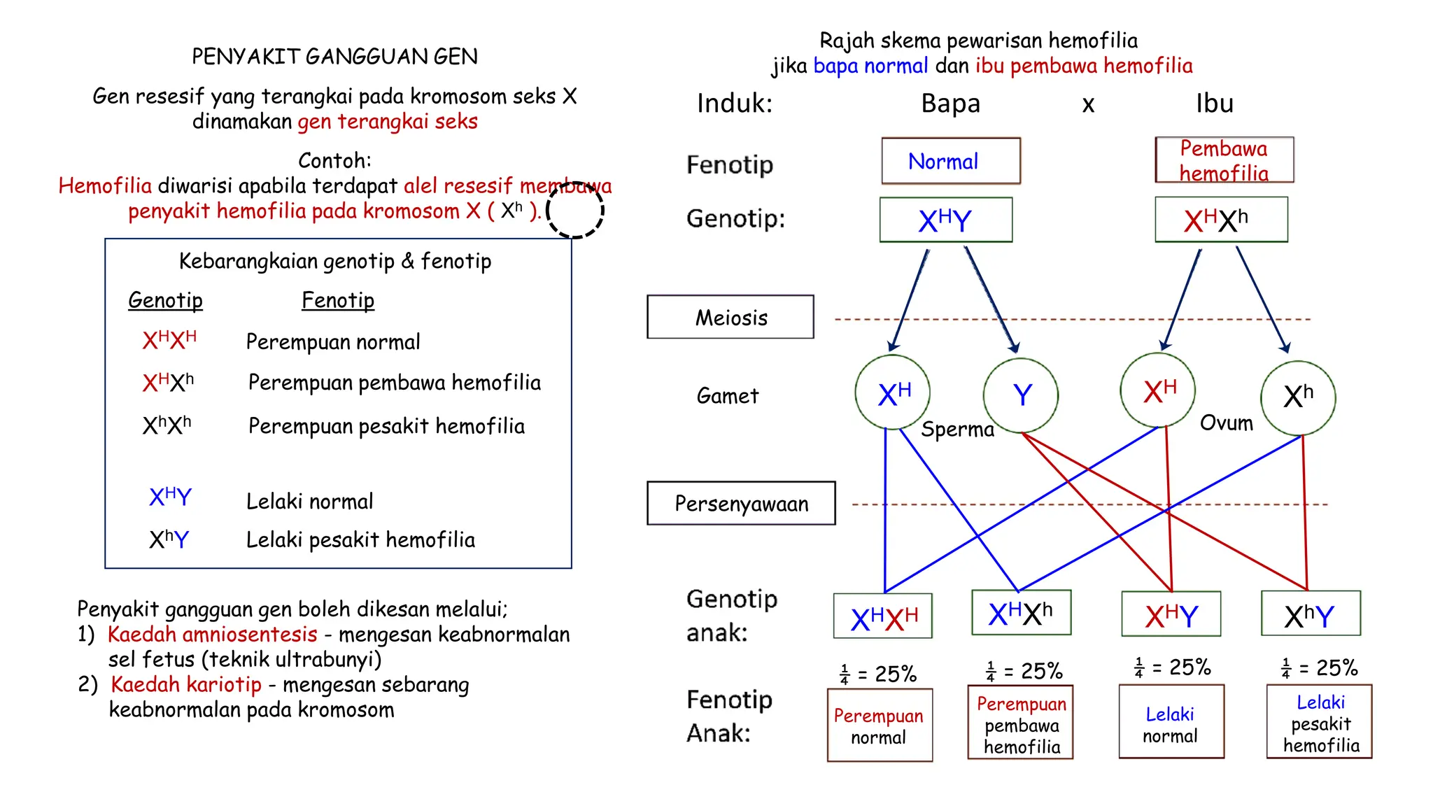 ULANGKAJI SAINS TINGKATAN 4 BAB 5 GENETIK.pptx