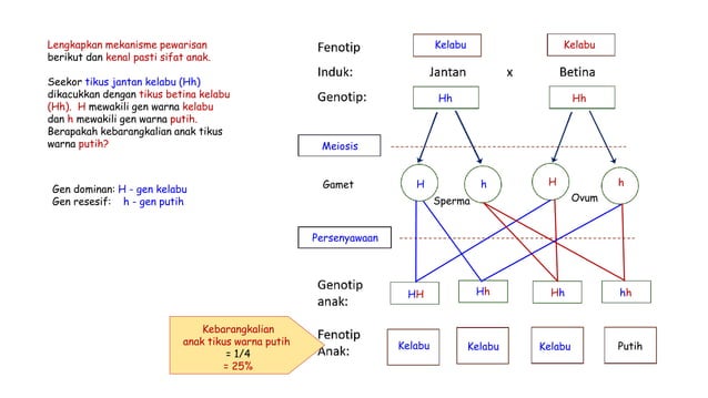 ULANGKAJI SAINS TINGKATAN 4 BAB 5 GENETIK.pptx