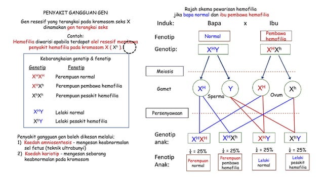 ULANGKAJI SAINS TINGKATAN 4 BAB 5 GENETIK.pptx