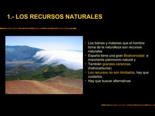 RECURSOS NATURALES Y MEDIO AMBIENTE | PPT