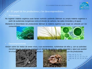 T5 - La estructura de los ecosistemas. | PPT