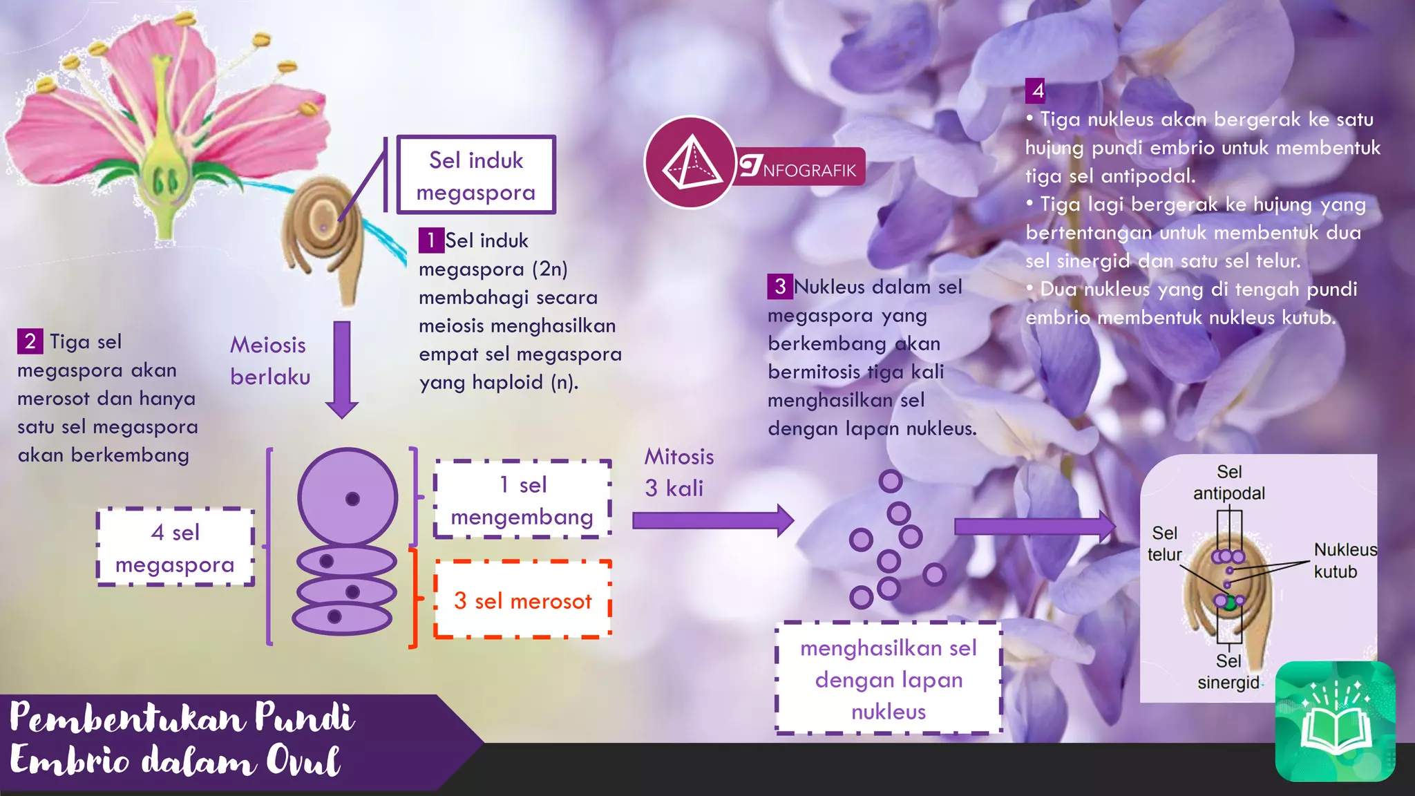 T5B6_Pembiakan_Seks_dalam_Tumbuhan_Berbunga_WOW_Notes!_Biologi.pdf