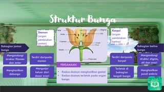 T5B6_Pembiakan_Seks_dalam_Tumbuhan_Berbunga_WOW_Notes!_Biologi.pdf
