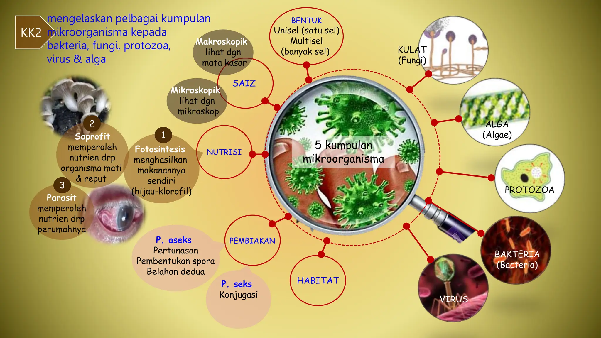 T5 BAB 1.1.1 MIKROORGANISMA.........pptx
