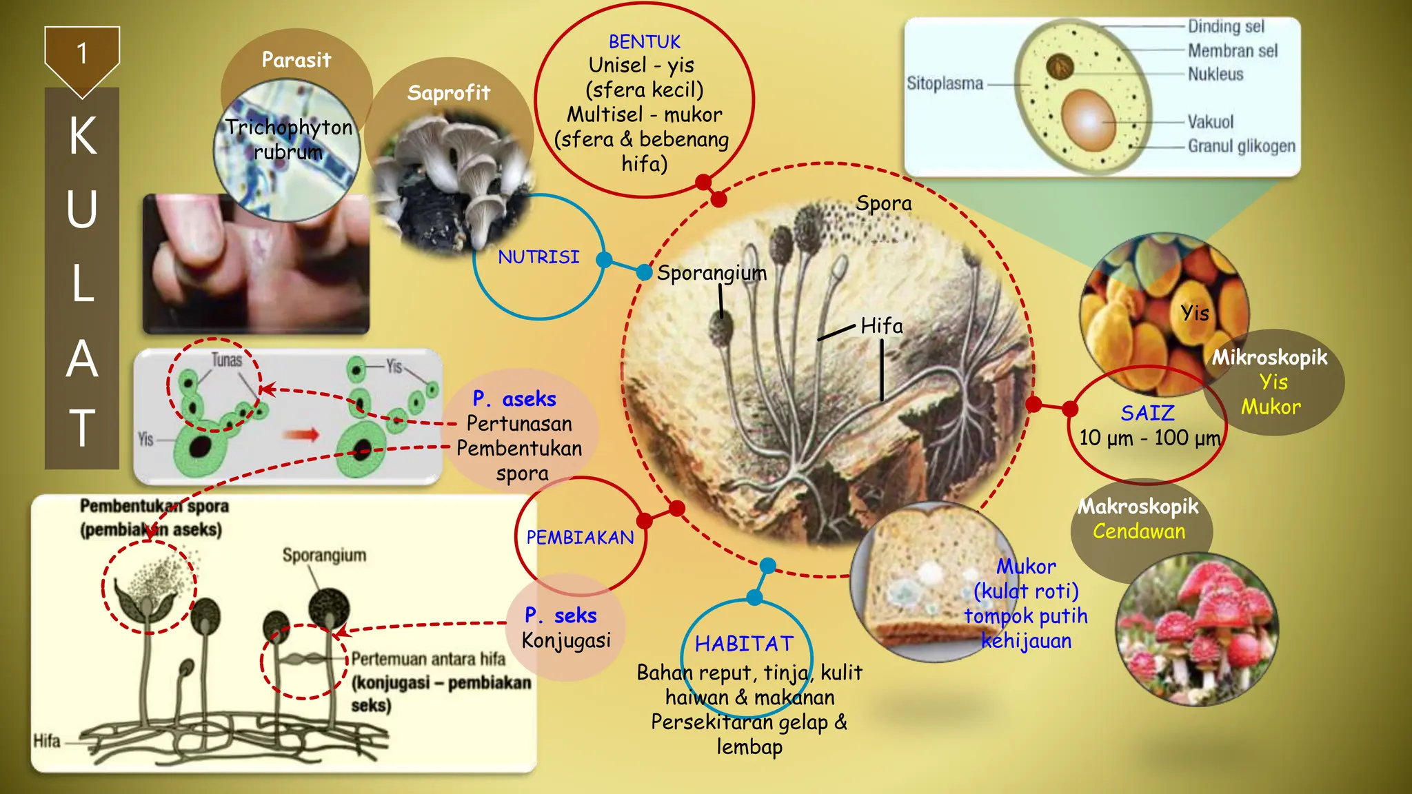 T5 BAB 1.1.1 MIKROORGANISMA.........pptx