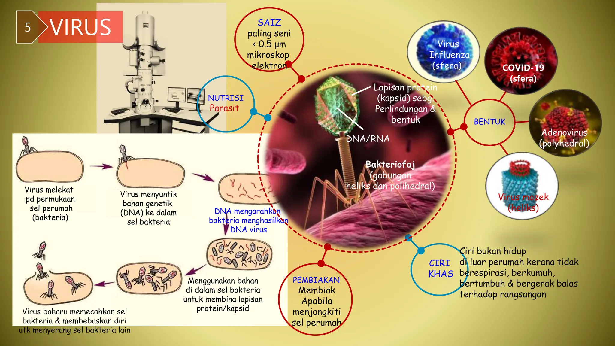 T5 BAB 1.1.1 MIKROORGANISMA.........pptx