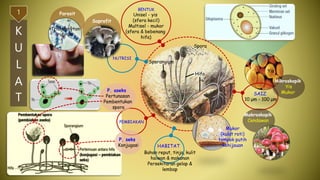 T5 BAB 1.1.1 MIKROORGANISMA.........pptx