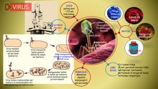 T5 BAB 1.1.1 MIKROORGANISMA.........pptx