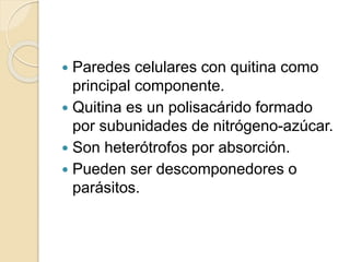 Los principales grupos de Hongos II.pptx