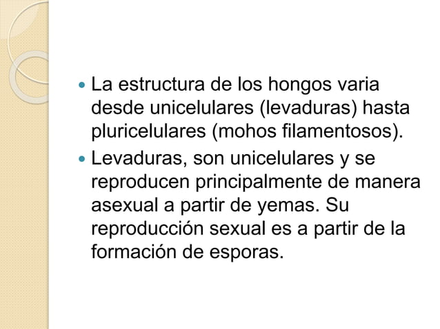 Los principales grupos de Hongos II.pptx