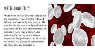 Structures and functions of the circulatory system | PPTX
