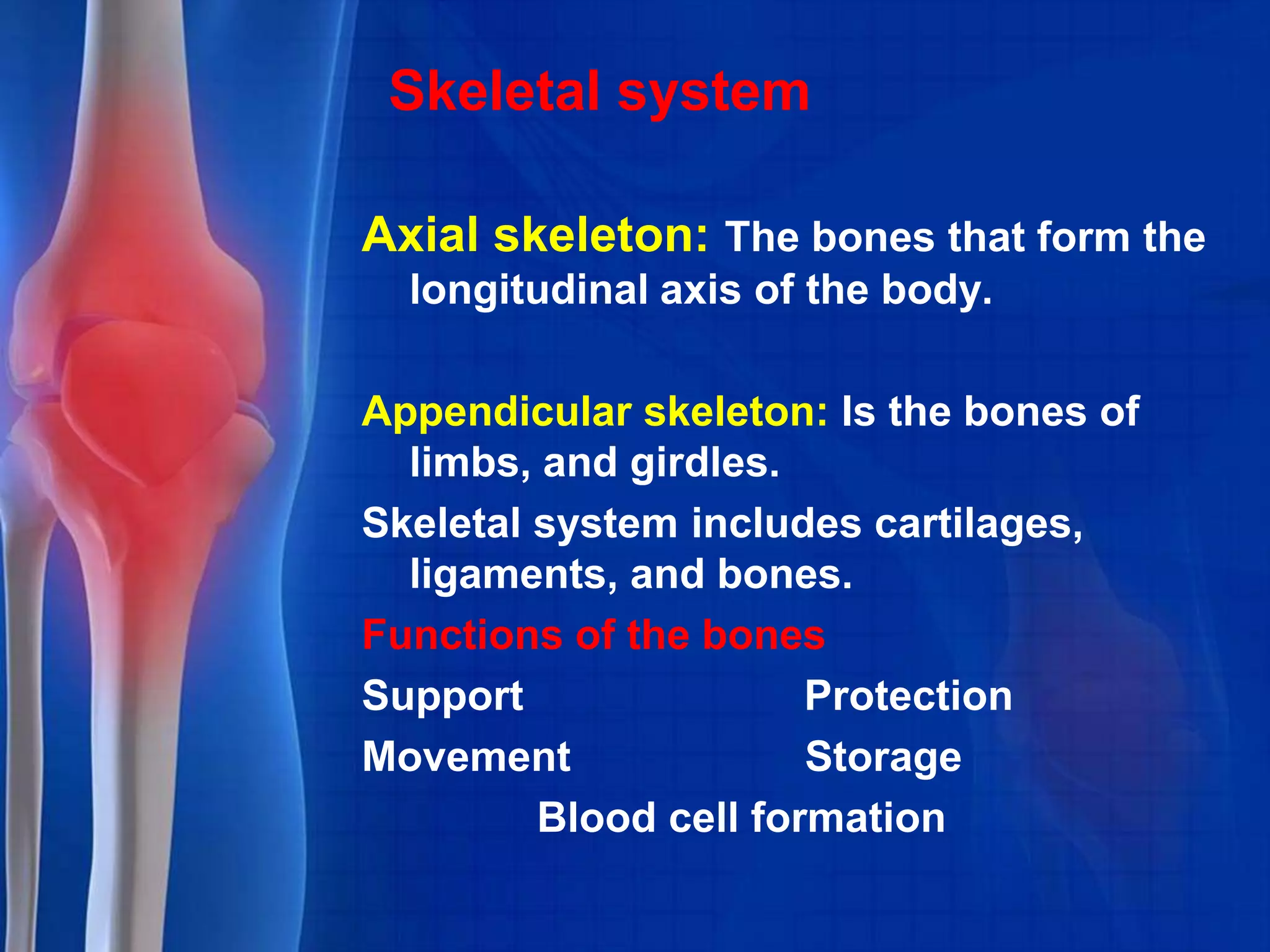 Skeletal system pharma | PPTX