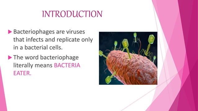 T7 BACTERIOPHAGE.pptx | Biological Sciences | Science