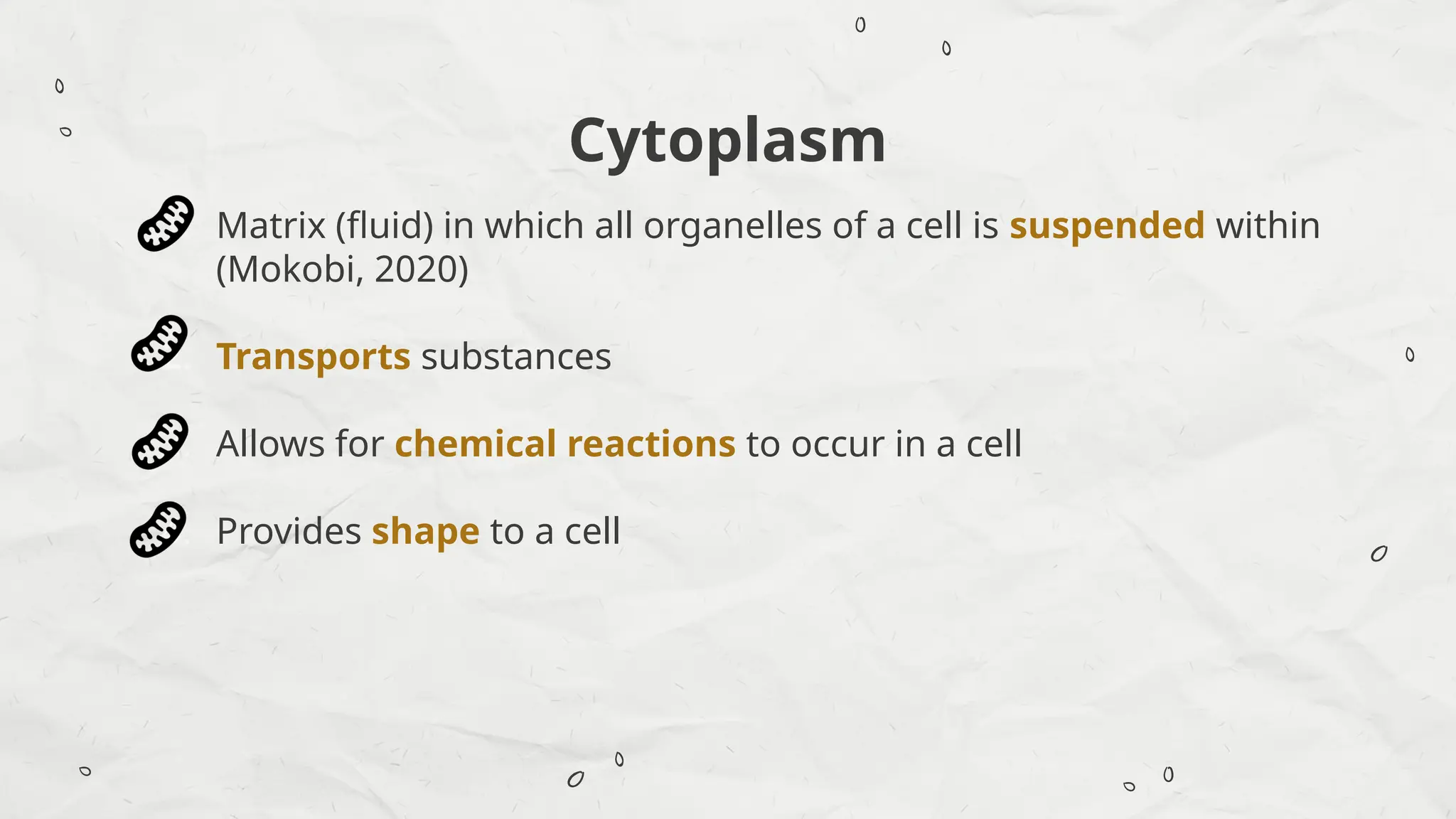 Life and Living- Cells. Grade 10, Term 1 | PPTX