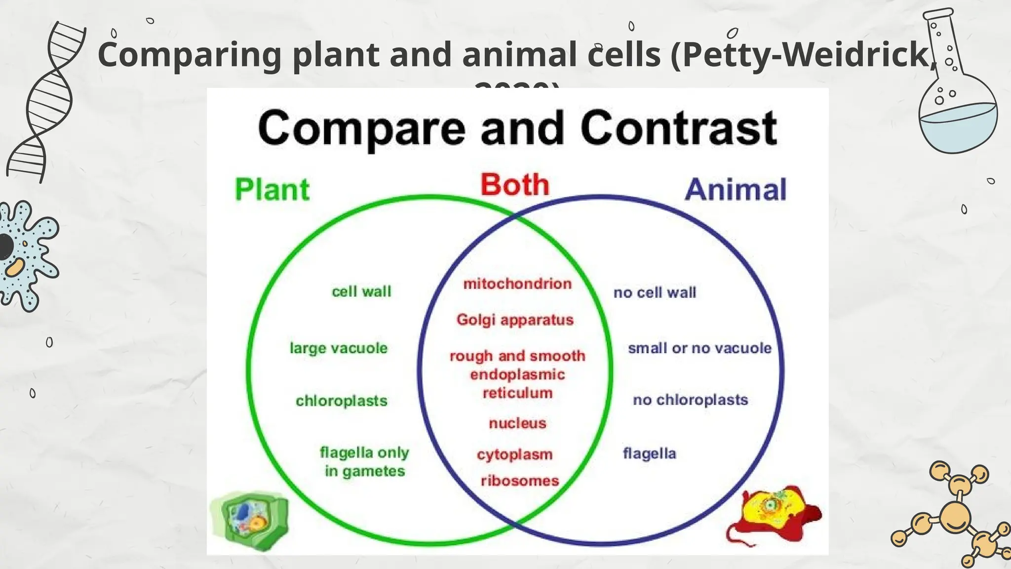 Life and Living- Cells. Grade 10, Term 1 | PPTX