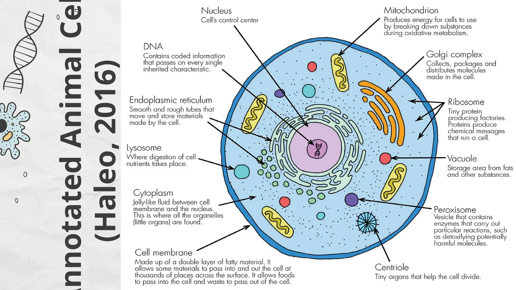 Life and Living- Cells. Grade 10, Term 1 | PPTX